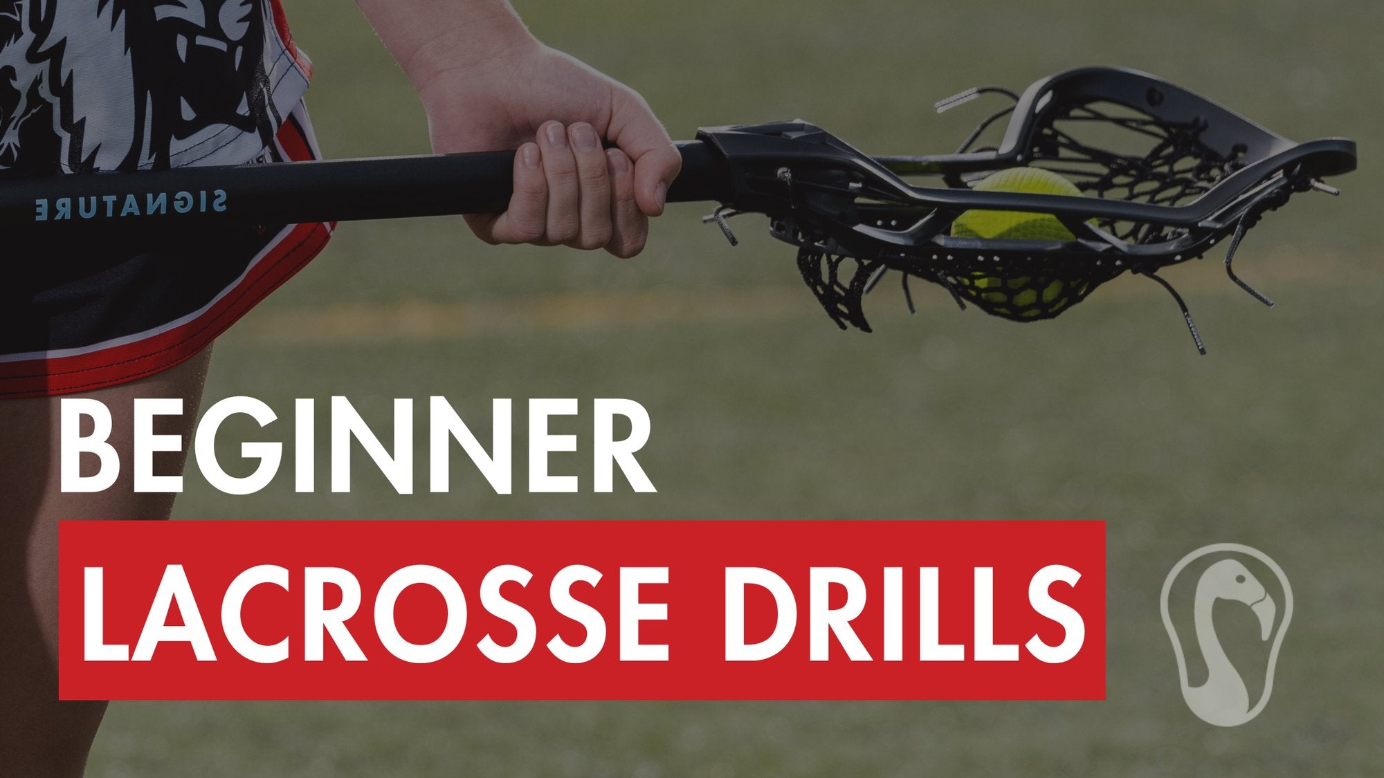 8 Foundational Beginner Lacrosse Drills for Rapid Skill Development ...