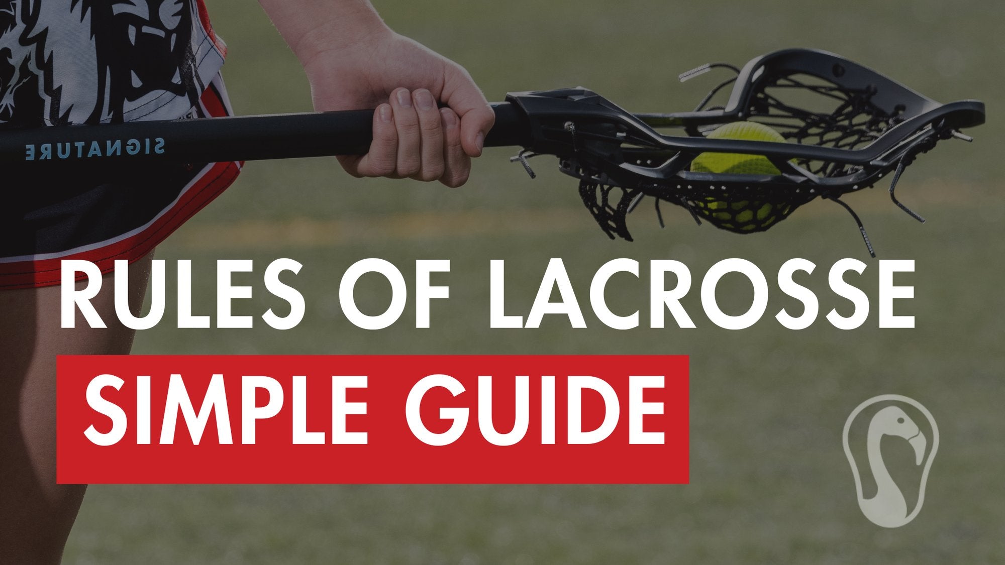 A Simple Guide to the Rules of Lacrosse – Signature Lacrosse