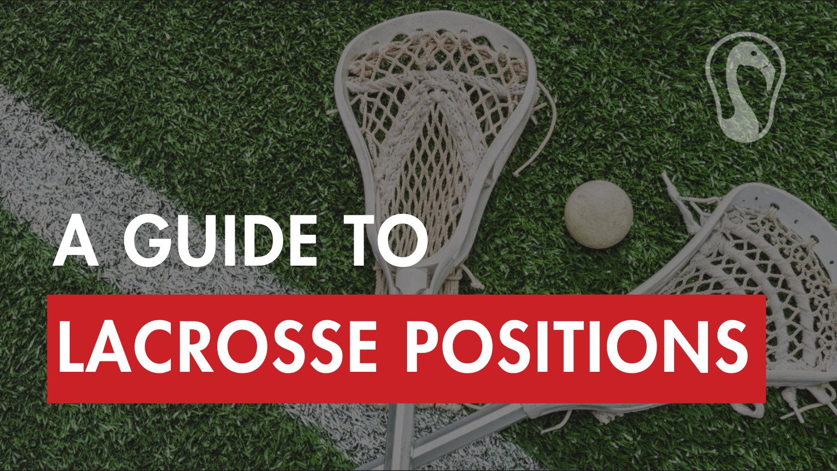 A Complete Guide to All Positions in Lax – Signature Lacrosse